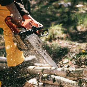 The high modulus polyethylen or ultra high modulus weight polyethylene ...